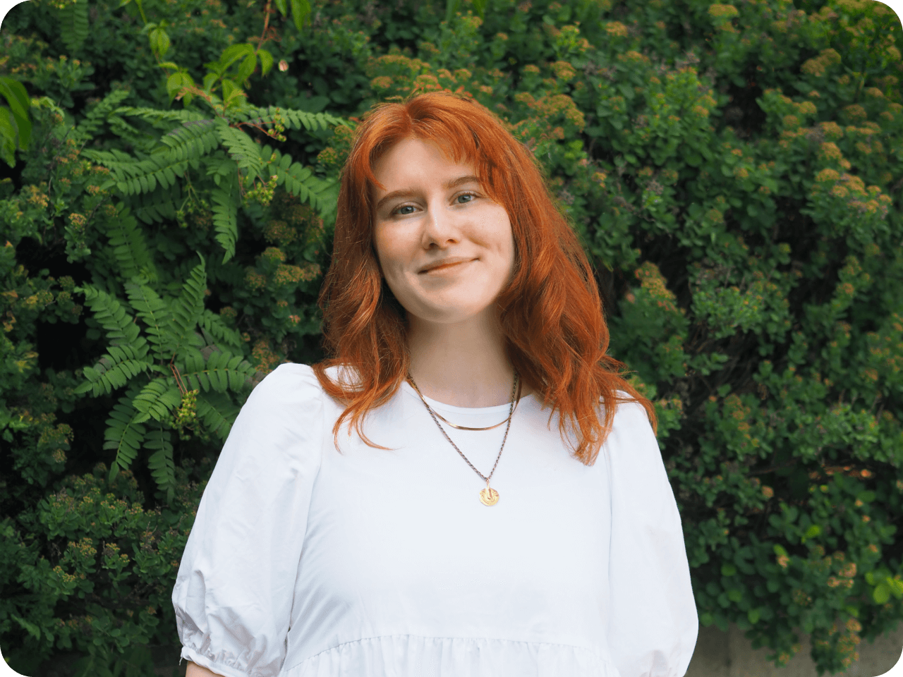 About - Pistachio Cybersecurity Protection